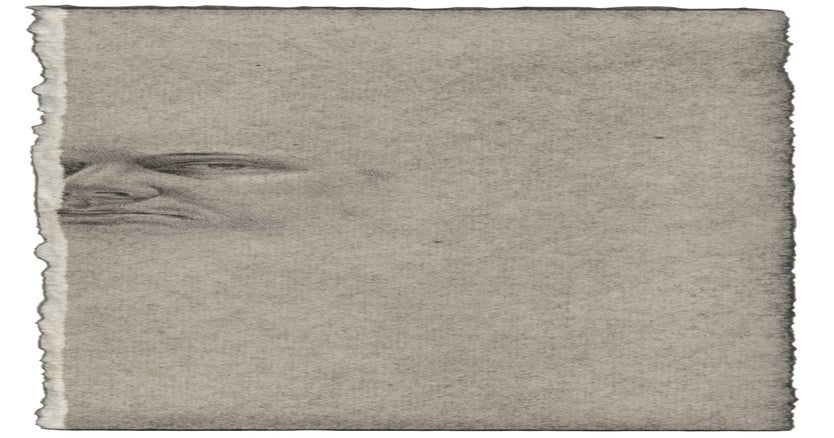 Torn Self-Portrait, 1987 | Charles Ritchie